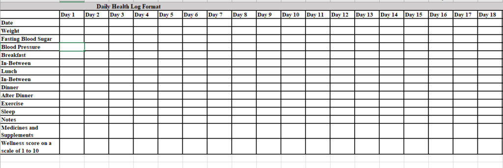 Daily Health Log Format