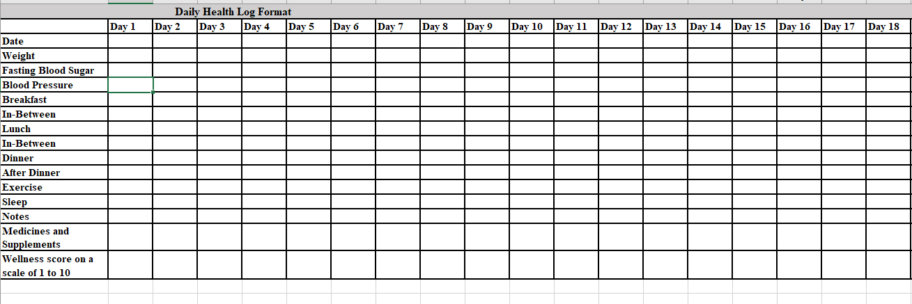 Daily Health Log Format